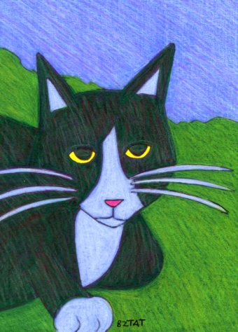 Born Free: Feral Cat Drawing #10 – BZTAT STUDIOS LLC